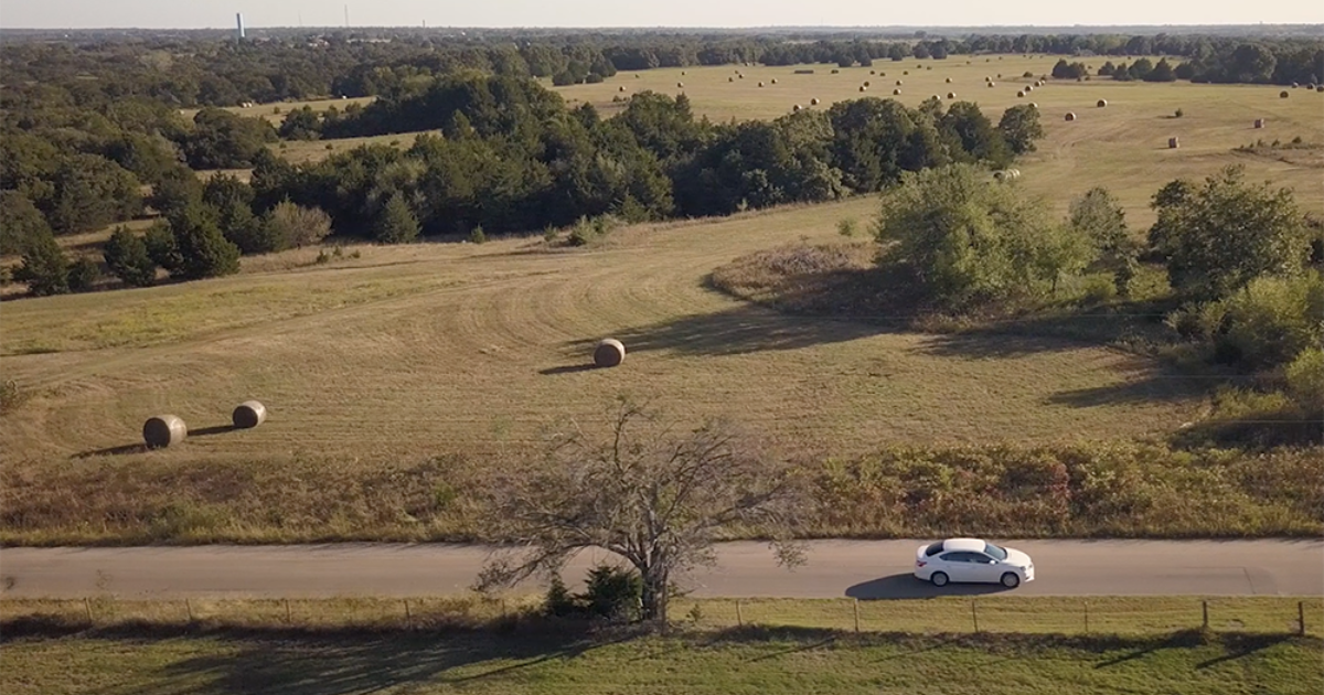 Video | WeGoLook — it's what we do