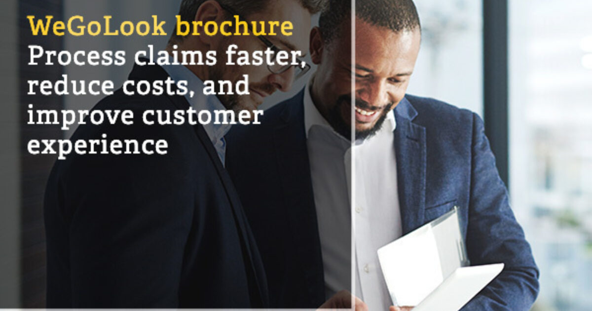 Resource | WeGoLook brochure